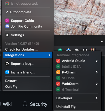 Fig doesn't work on IntelliJ IDEA 2022.1 · Issue #1384 · withfig/fig · GitHub