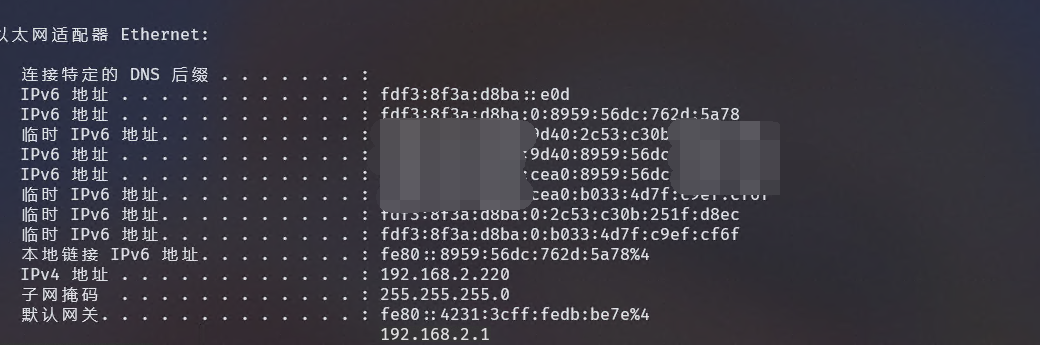 家里Win安装ddns-go,通过网卡获取,会两个ip来回跳 · Issue #156 · jeessy2/ddns-go · GitHub