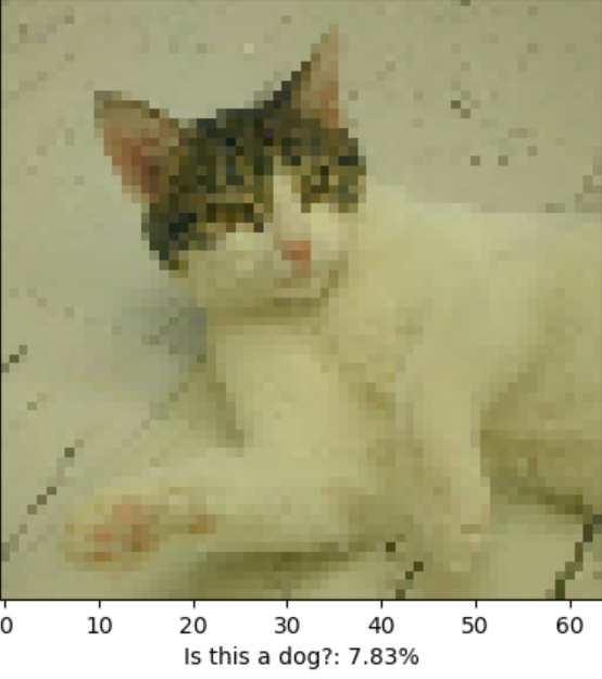 GitHub - KevinKronk/catdog-cnn