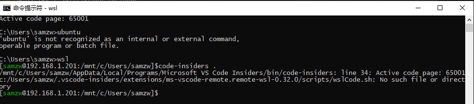 code page 65001 · Issue #42 · microsoft/vscode-remote-release · GitHub