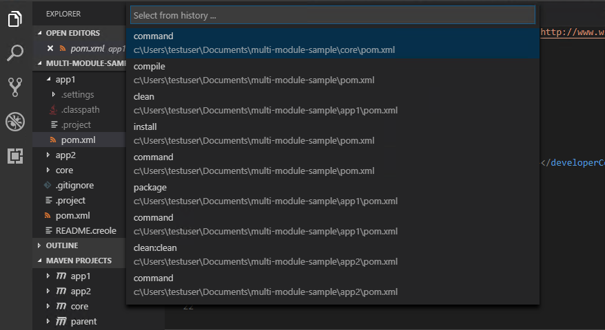 Maven Command History isn't listed correct command name and failed to execute 'command' · Issue ...