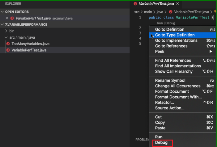 No variables shown in VARIAVLES when debug `7.variableperformance ...