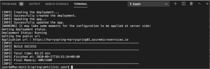 Can't display instance status when create a new app · Issue #1148 · microsoft/azure-maven ...