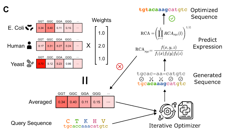 optimized_sd vs optimized_ad · Issue #41 · nleroy917/optipyzer · GitHub