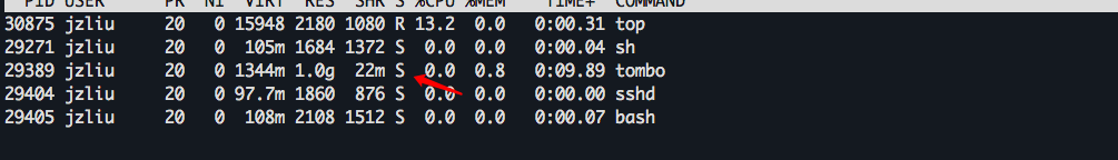 my detect detect_modifications running with warning " Tombo index file does not exist for one or ...