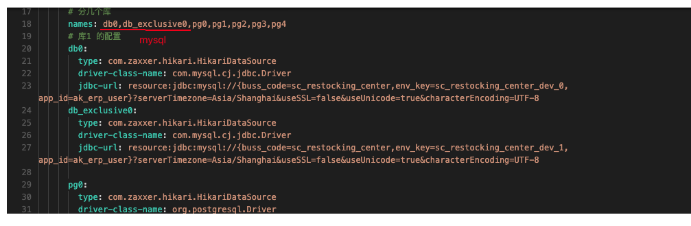 Configure multiple different types of data sources, and the project starts to report an error ...