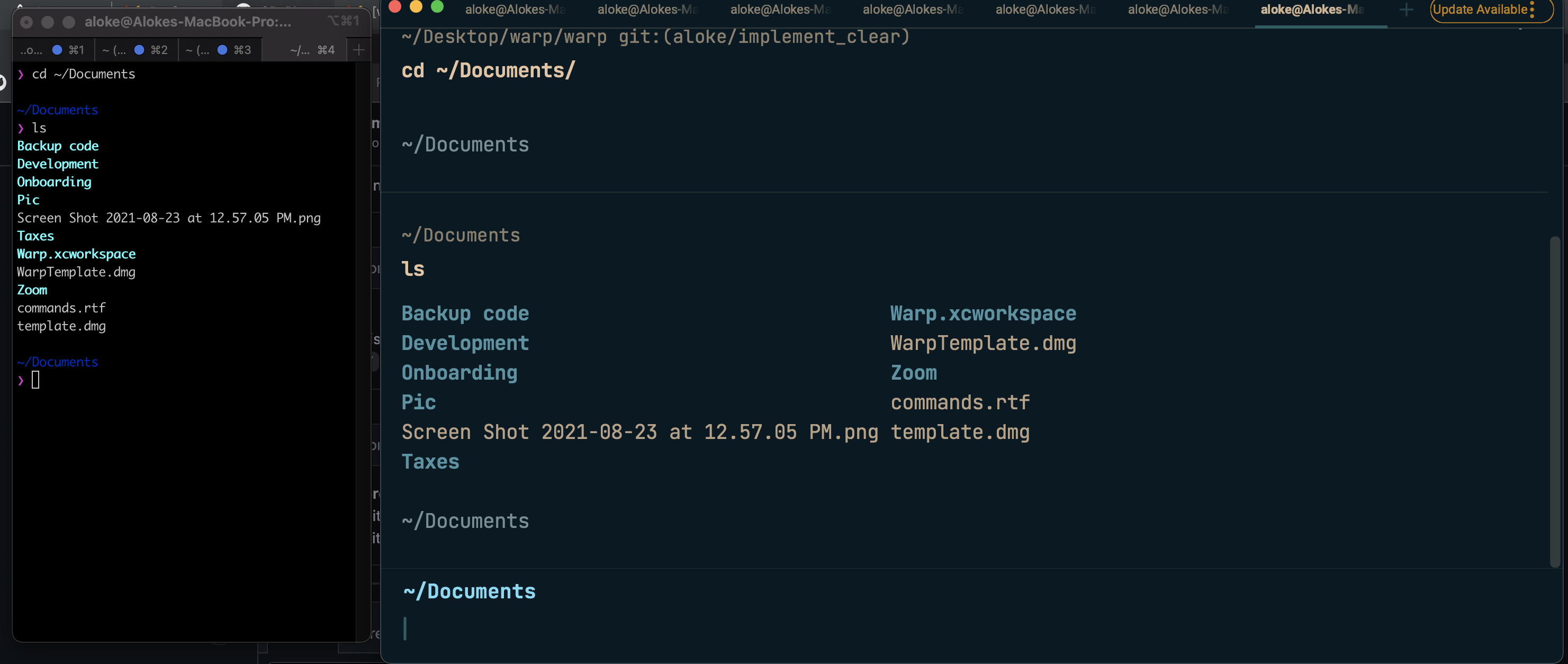 CB: Phantom command on init · Issue #251 · warpdotdev/Warp · GitHub