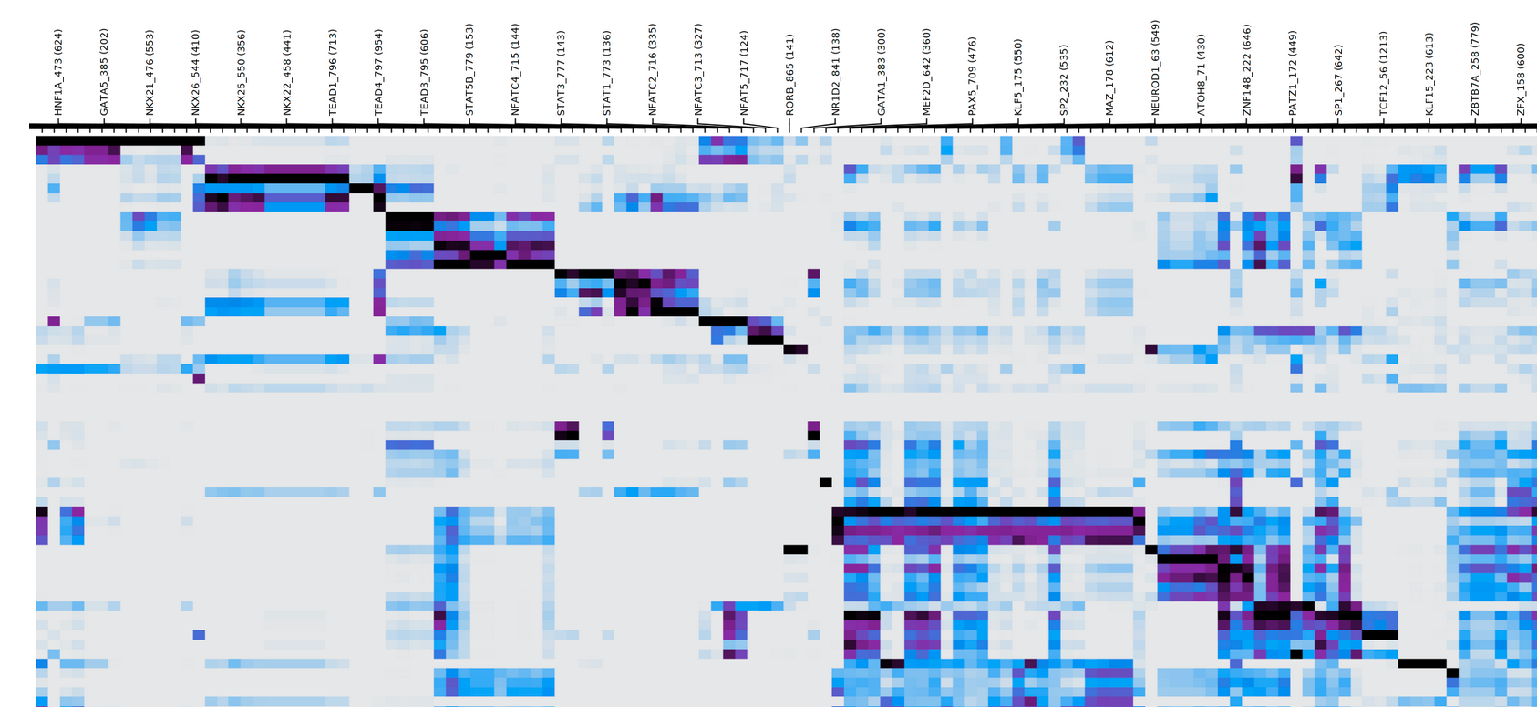 Column tick gaps · Issue #837 · jokergoo/ComplexHeatmap · GitHub