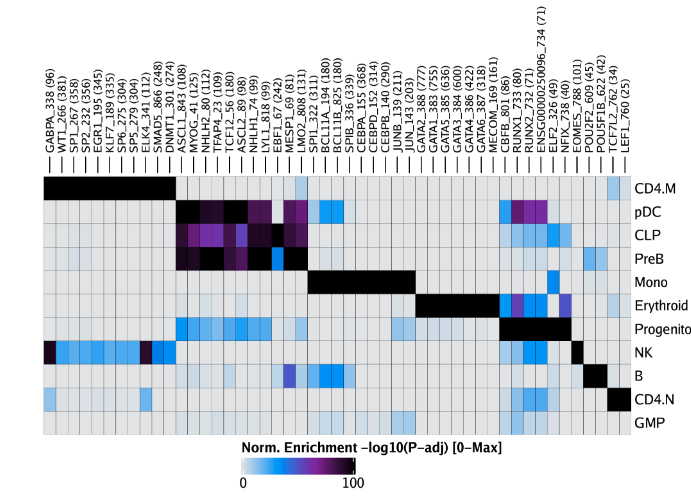 plotEnrichHeatmap n parameter not working? · Issue #1528 · GreenleafLab/ArchR · GitHub