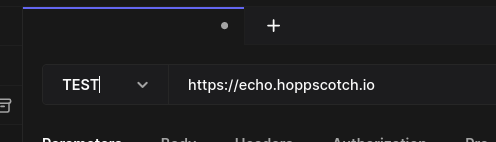 [bug]: Cannot set custom method · Issue #3406 · hoppscotch/hoppscotch · GitHub