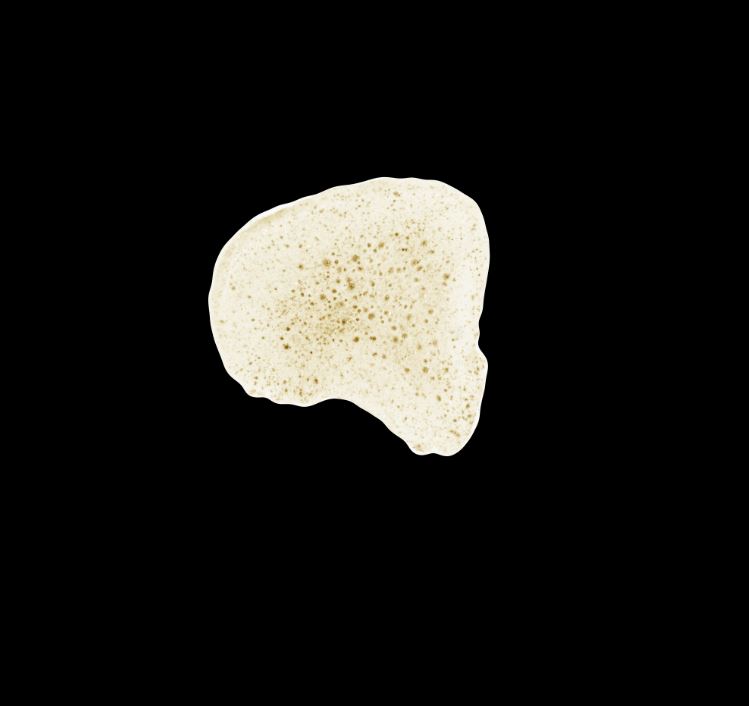 Pixel Classification "Precondition violation" · Issue #1802 · ilastik ...