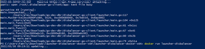 panic: fork/exec /home/.disbalancer-go-client/app: exec format error ...