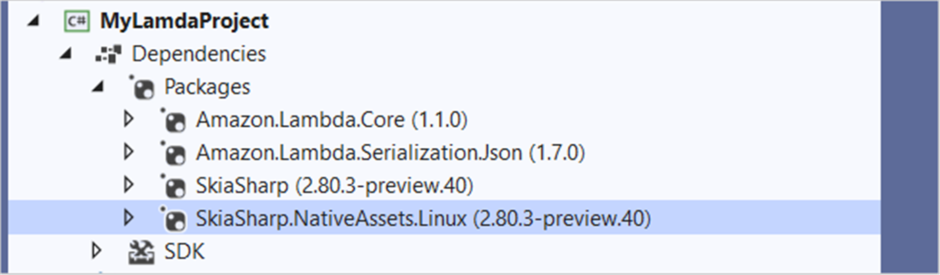 [BUG] "dotnet: symbol lookup error: /var/task/libSkiaSharp.so: undefined symbol ...