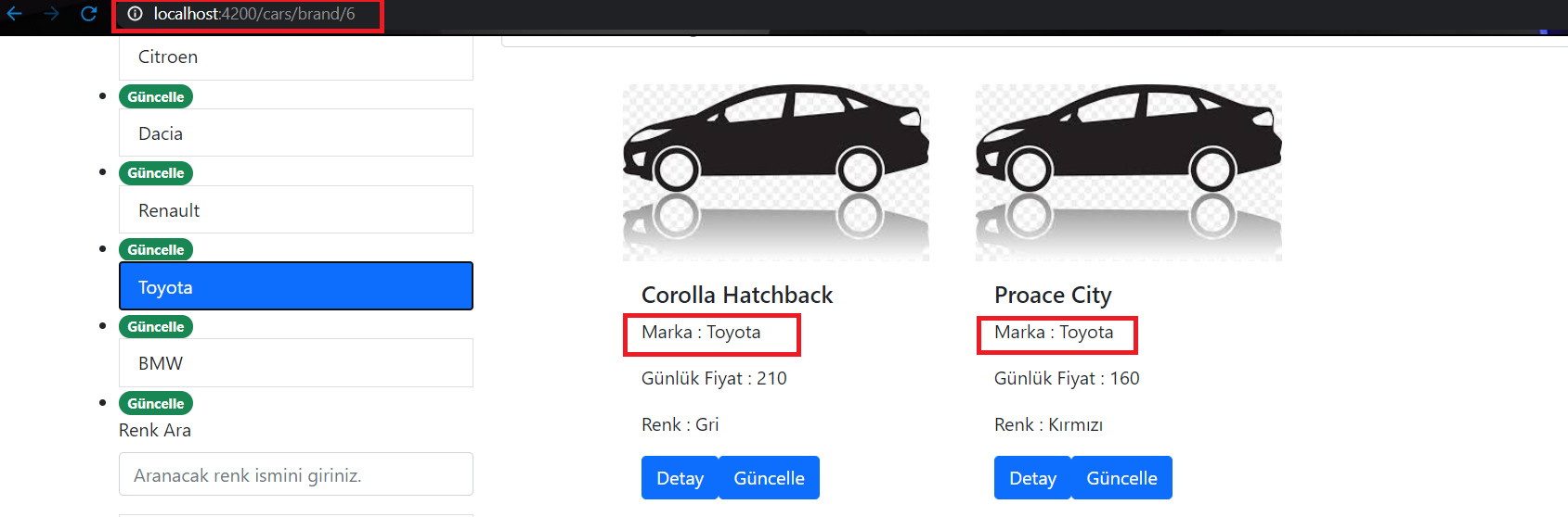 GitHub - ebruky/RentCarProjectFrontend