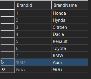 GitHub - ebruky/RentCarProjectFrontend