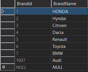 GitHub - ebruky/RentCarProjectFrontend