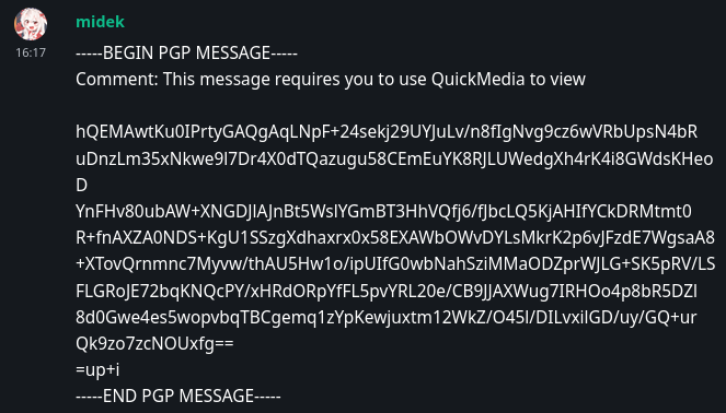 Support pgp encrypted messages · Issue #837 · element-hq/element-meta · GitHub