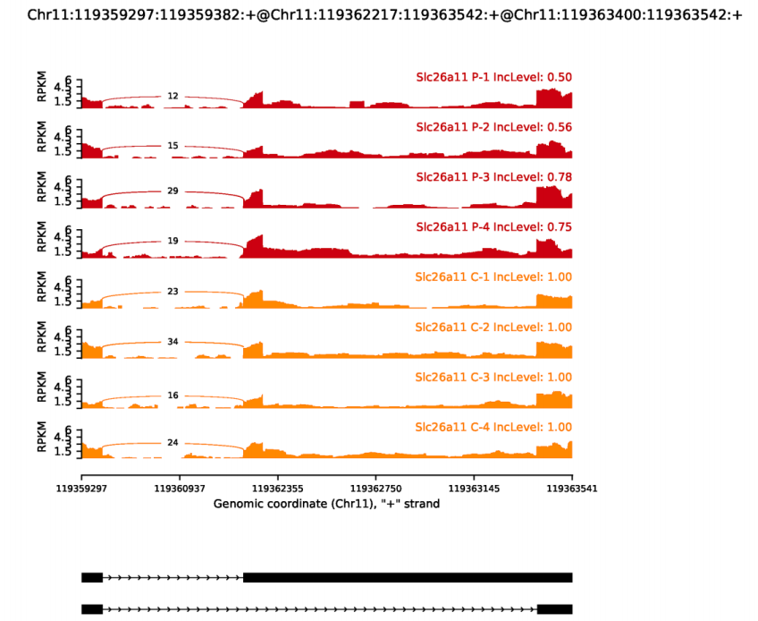 Some sashimiplots are unlike the corresponding events found by rmats ...