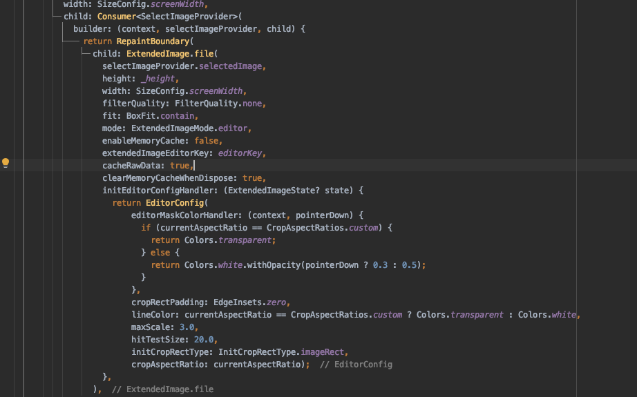 Major error occurs when trying to access the rawImageData · Issue #344 · fluttercandies/extended ...