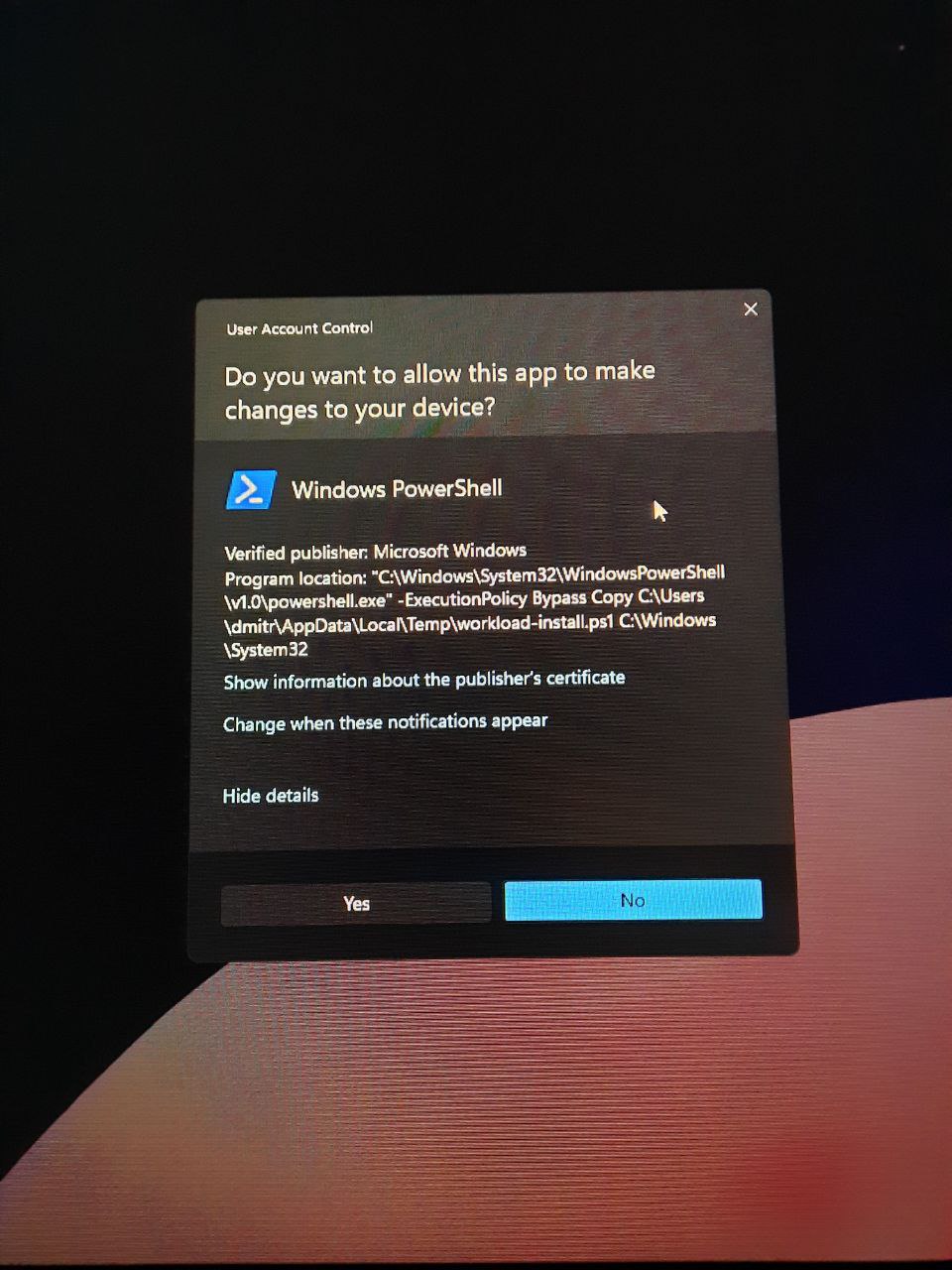 Tizen Extension for Visual Studio. When the IDE starts, scripts are run ...