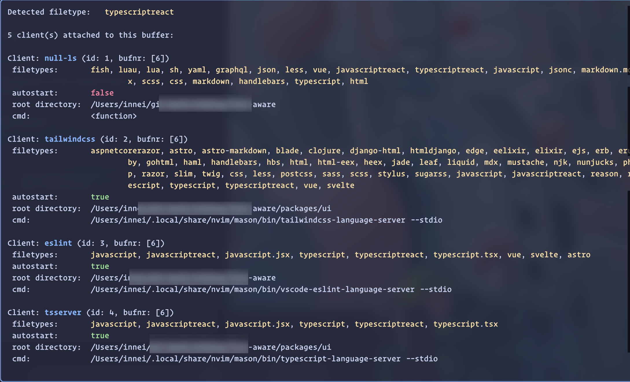 bug: tsserver and eslint rootDir is wrong in monorepo · Issue #1307 · LazyVim/LazyVim · GitHub
