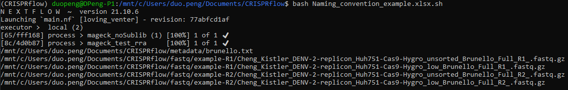 GitHub - czbiohub-sf/CRISPRflow: MAGeCK analysis automated by Nextflow