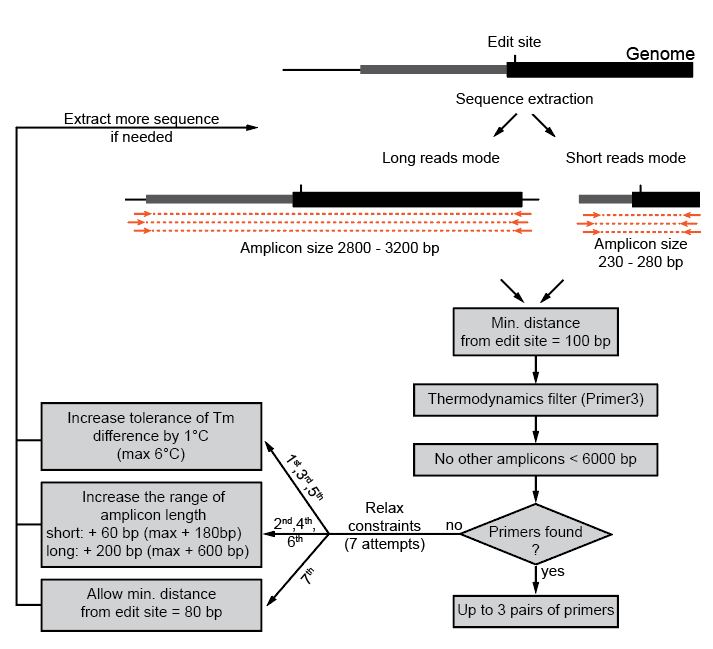 GitHub - czbiohub-sf/GenoPrimer: Automated primer design for genotyping CRISPR edited cells