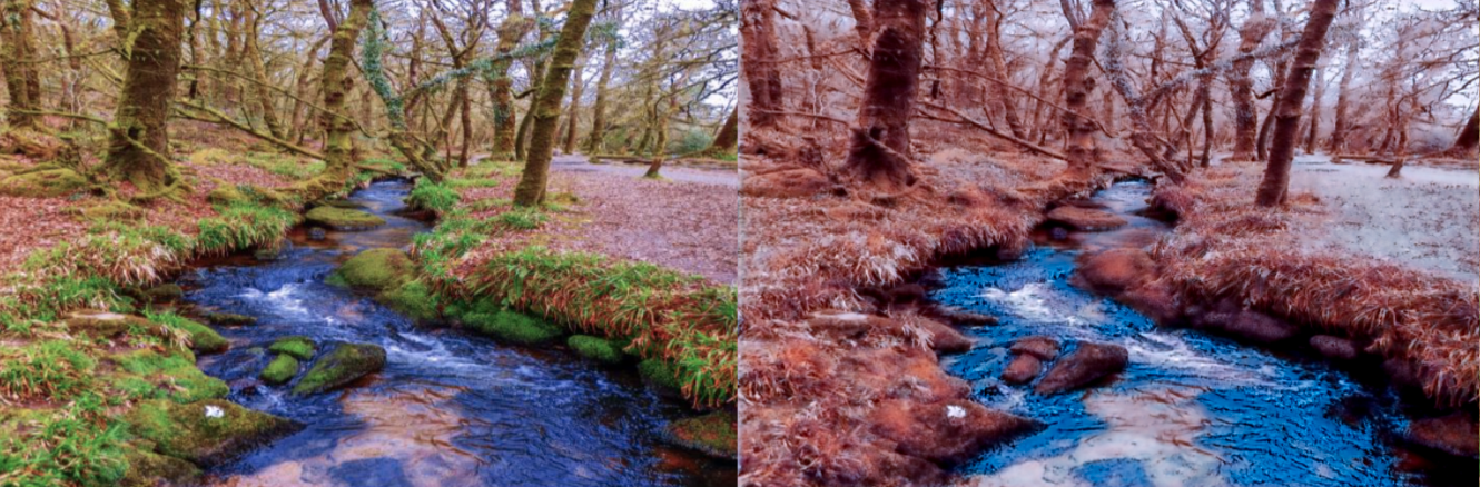 复现结果颜色发红 · Issue #19 · csjliang/LPTN · GitHub