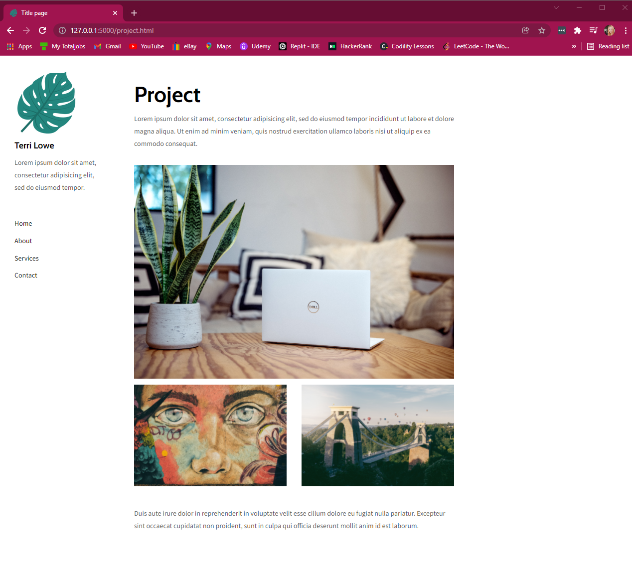 GitHub - TerriLowe07/portfolioServer: A portfolio template webpage that ...