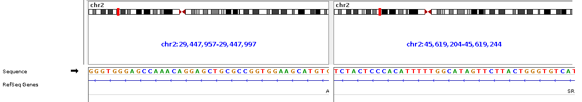 RefSeq gene names not properly aligned in split view in batch script · Issue #633 · igvteam/igv ...