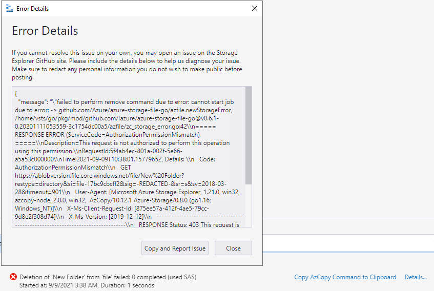 There is a successful activity log when deleting one blob in the attached blob container with ...