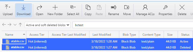 Can't select the soft-deleted blob or the active blob separately if they share the same name ...