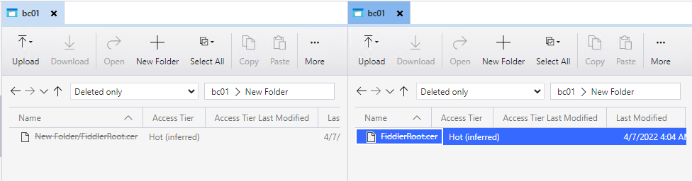 The Soft Deleted Blob Doesn T Show Its Full Name Under The Deleted Only Context View Against
