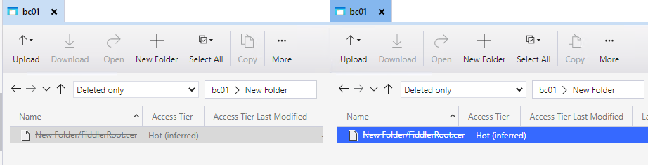 The Soft Deleted Blob Doesn T Show Its Full Name Under The Deleted Only Context View Against