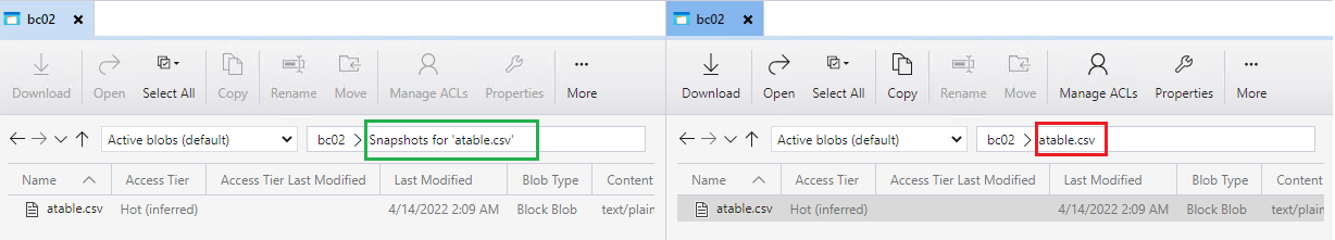 The split tab is not under the Snapshots view when its original tab is under the Snapshots view ...