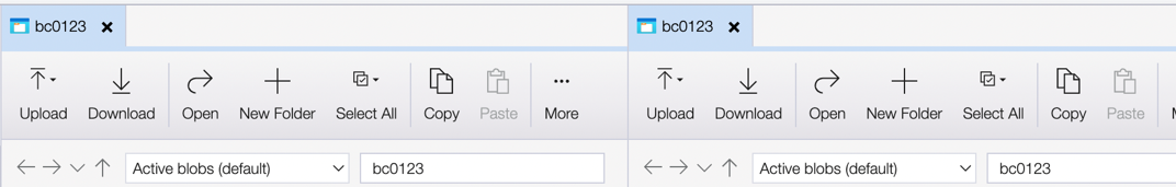 The background color/border has no difference between the active and ...