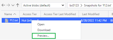 There is no action 'Preview...' for blobs under the Snapshots/Versions view · Issue #6059 ...