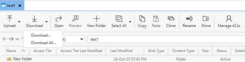 There Is An Extra Next To The Download Action On The Toolbar For One Adls Gen2 Blob