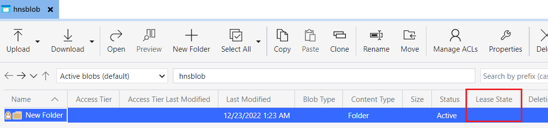 There is no value for the column property 'Lease State' for one ADLS Gen2 folder that has been ...