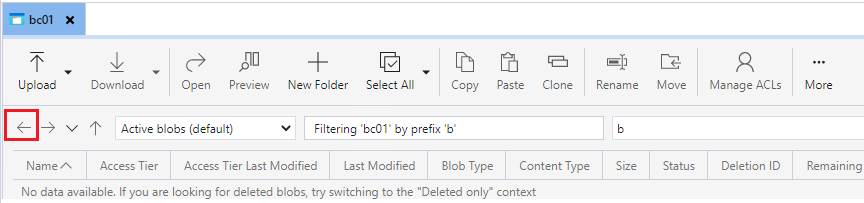The Back button is not enabled when typing a string into the filter by prefix box for one ADLS ...