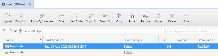 Display a duplicate folder after selecting 'Do not upload' on the pasting conflict dialog for ...