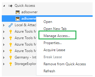 The action 'Manage Access...' is missed for one QA ADLS Gen2 blob container · Issue #3556 ...
