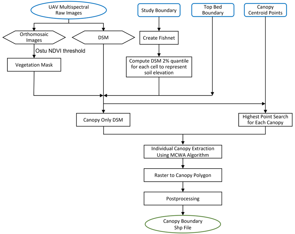 GitHub - TimothyCaiwang/A-Computer-Vision-Tool-for-Strawberry-Canopy ...