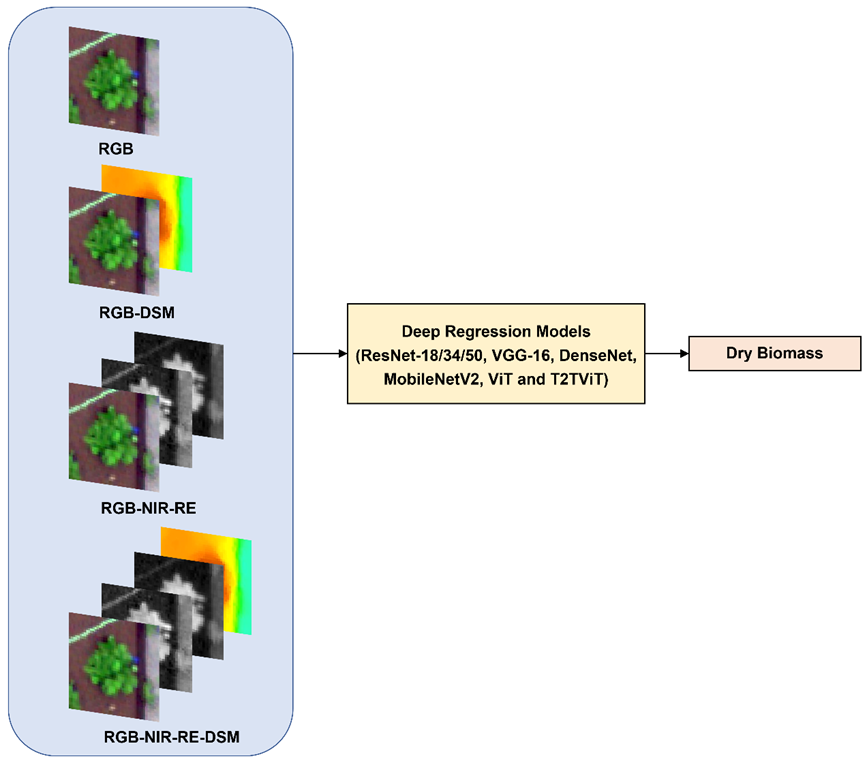 GitHub - TimothyCaiwang/Deep-Regression-For-Biomass-Prediction-From-UAV-Images