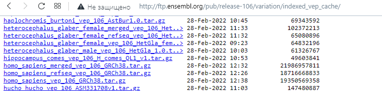 Missing GRCh37 106 Indexed Cache files · Issue #1152 · Ensembl/ensembl-vep · GitHub