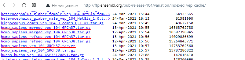 Missing GRCh37 106 Indexed Cache files · Issue #1152 · Ensembl/ensembl-vep · GitHub