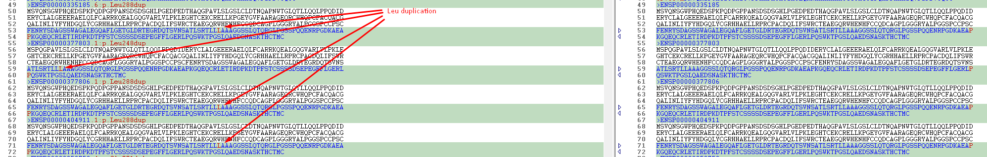 Changes in transcript names between VEP 106 and 108 · Issue #1350 · Ensembl/ensembl-vep · GitHub