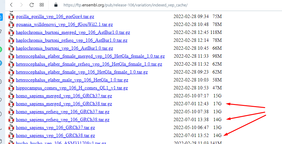 Changes in transcript names between VEP 106 and 108 · Issue #1350 · Ensembl/ensembl-vep · GitHub
