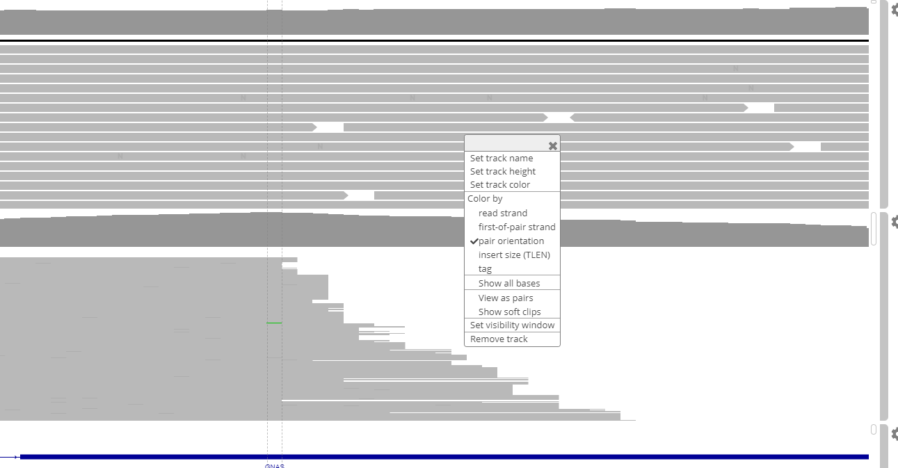 Add squish option to alignment track · Issue #758 · igvteam/igv.js · GitHub