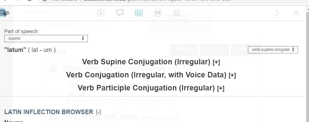participles of irregular verbs should show full irregular table for that verb · Issue #76 ...
